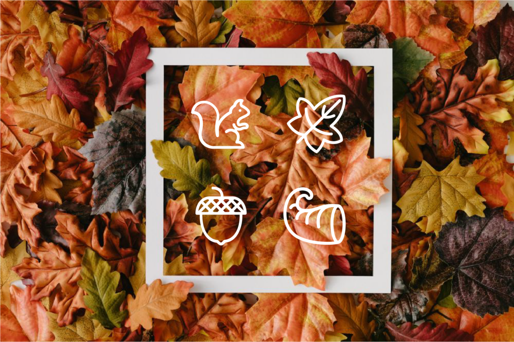 Fall Icon and Photo Collections. Browse through thousands of cozy ...