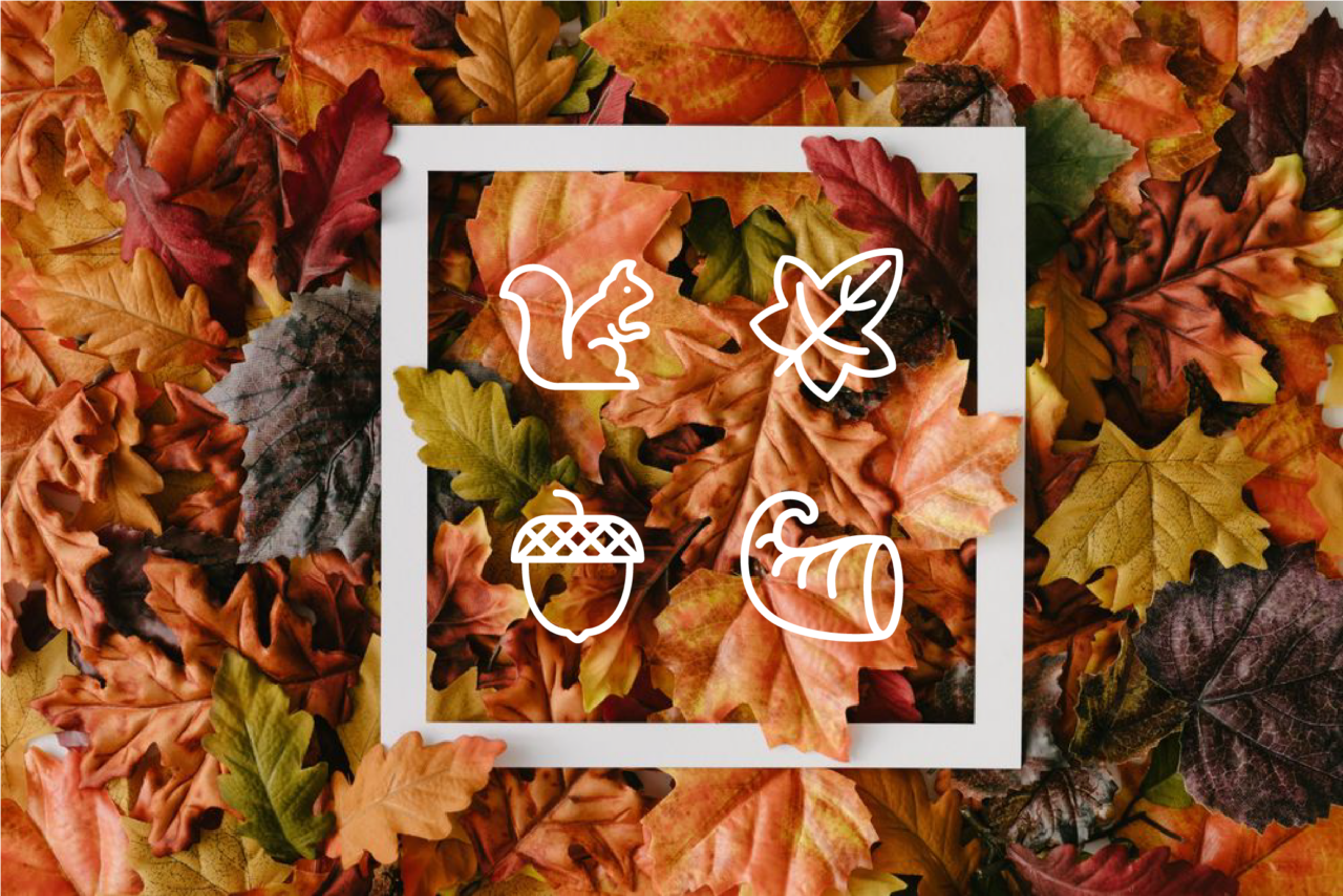 Fall Icon and Photo Collections. Browse through thousands of cozy ...