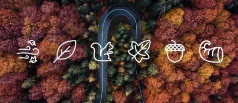 Fall Icon and Photo Collections. Browse through thousands of cozy ...