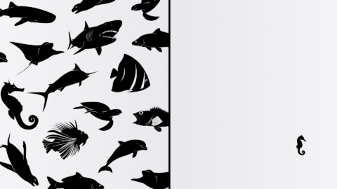 Graphic Design Principles: Hierarchy - The Noun Project Blog